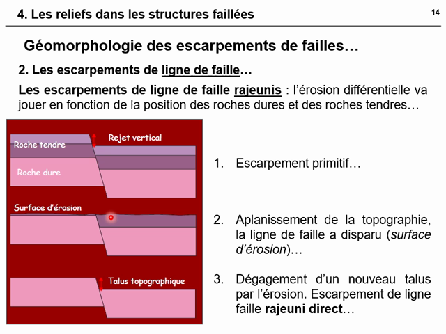 - L1_Geomorpho_Cm_2021_Video_06_Chapitre 04b