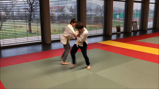 - Video Judo Simulation 1