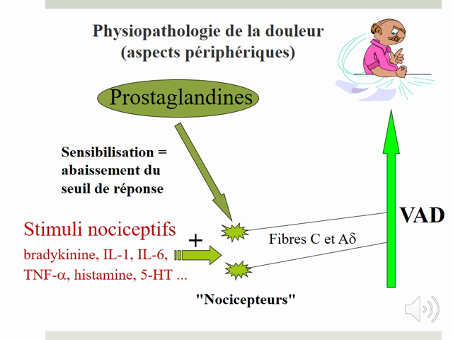 - Ains Ais Antih1 Partie 1