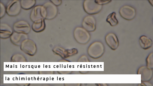 - La Chimiothérapie : Une Des Causes Possibles…