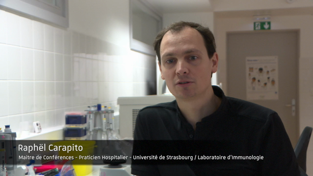 - Raphaël Carapito - Prix Espoirs