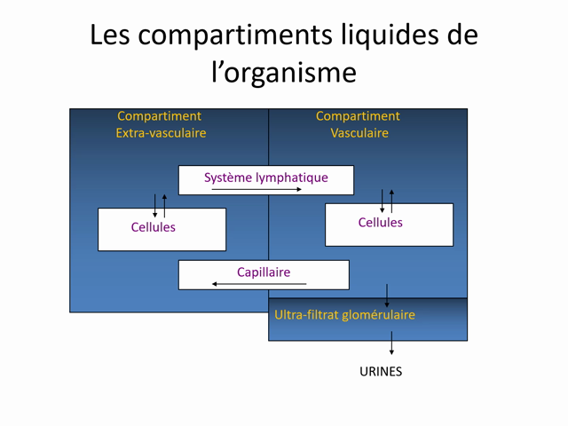 - Ionogramme