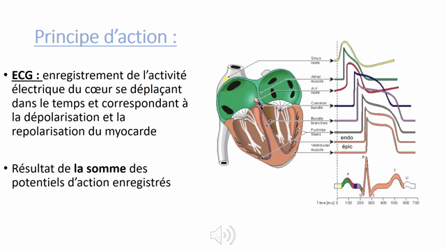 - Ecg Principes De Base (Duthil)