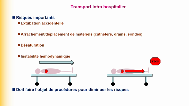 - Transport Intra-Hospitalier (Herbrecht)