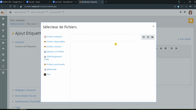 - 2_Integration_Canva_Moodle