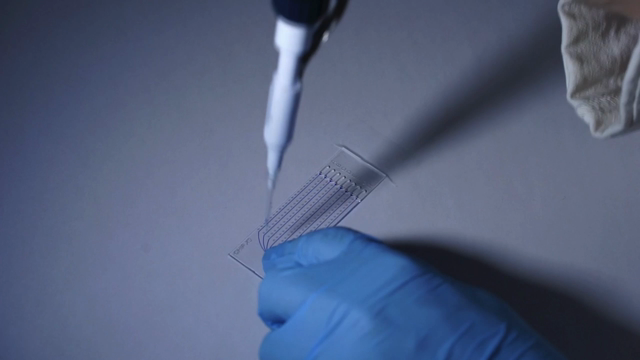 - Chipx: A Crystallization And Serial Crystall…