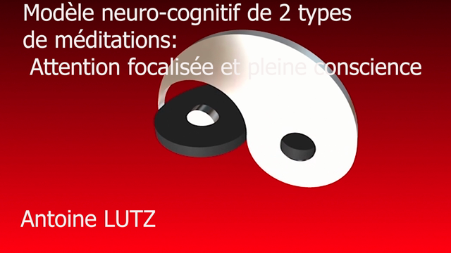- Pdf/ Modèle Neuro-Cognitif De 2 Types De Méd…
