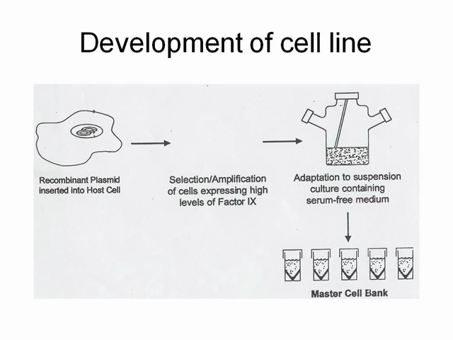 - Examples Of Biomanufacturing Process